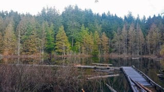 Eagle Bluffs And Black Mountain Hike In West Vancouver