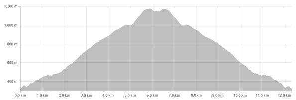 Mount Fromme Hike in North Vancouver | Outdoor Vancouver