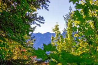 Elk Mountain Hike In Chilliwack | Outdoor Vancouver