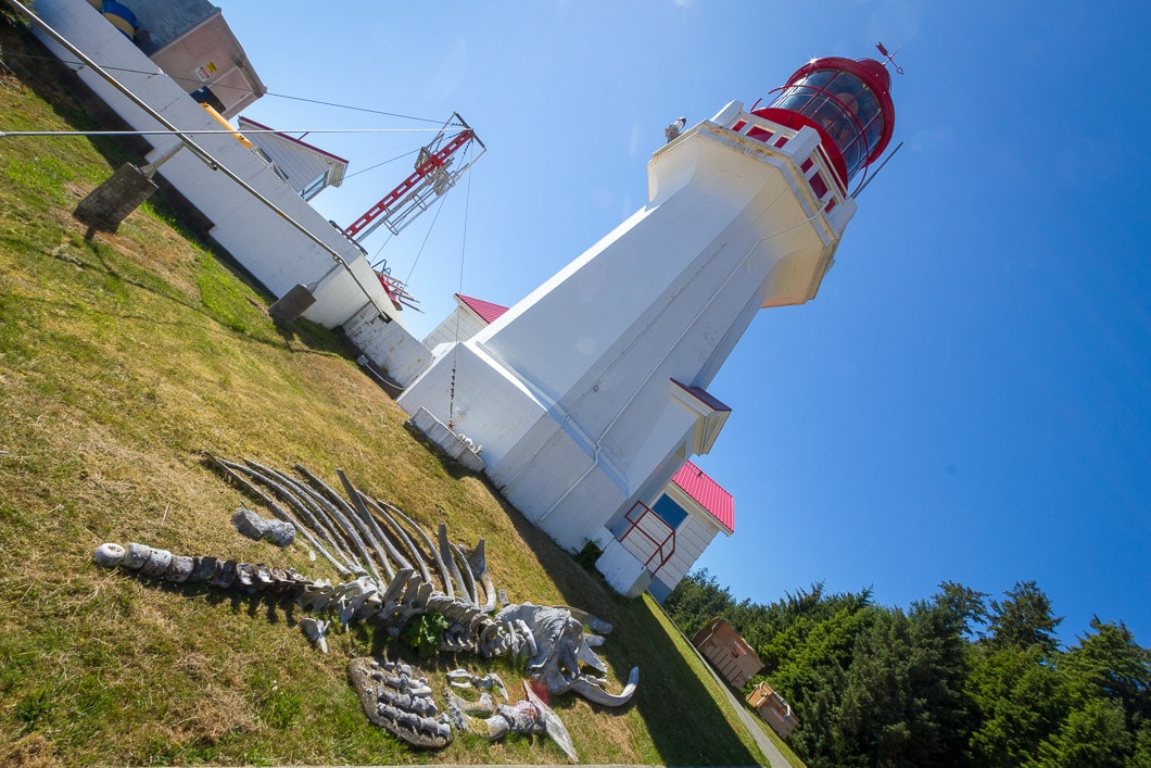 Hiking The West Coast Trail On Vancouver Island | Outdoor Vancouver