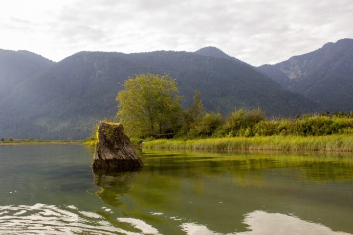 Widgeon Falls Hike And Canoe In Pinecone-Burke Provincial Park