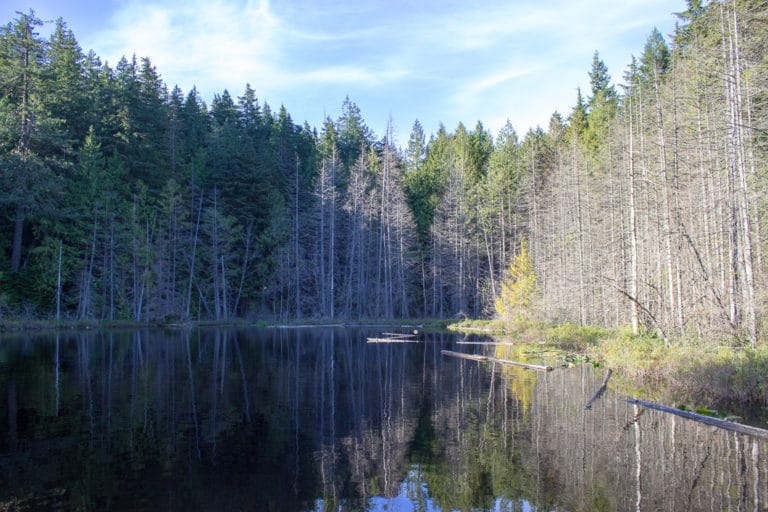 Whyte Lake Hike In West Vancouver | Outdoor Vancouver