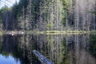 Whyte Lake Hike In West Vancouver | Outdoor Vancouver