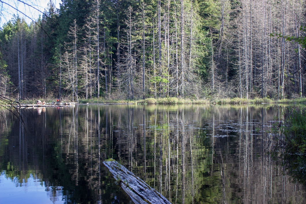 Whyte Lake Hike In West Vancouver | Outdoor Vancouver