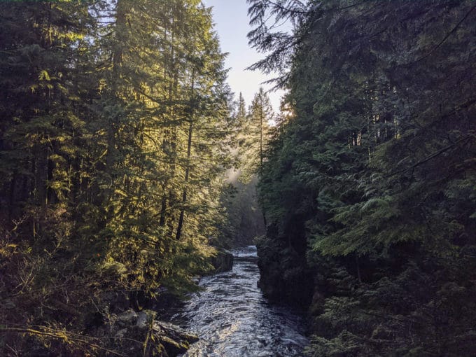 Capilano River Regional Park Hike | Capilano Canyon Loop