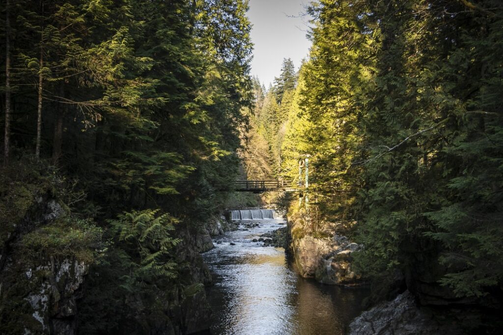 Capilano River Regional Park Hike | Capilano Canyon Loop