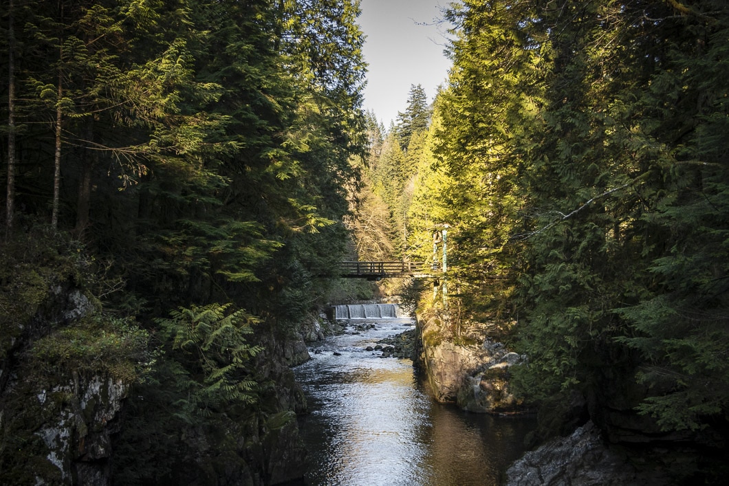 Capilano River Regional Park Hike | Capilano Canyon Loop