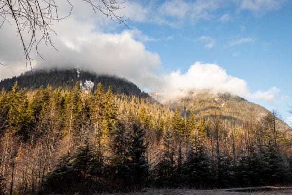Norvan Falls Hike In North Vancouver | Outdoor Vancouver