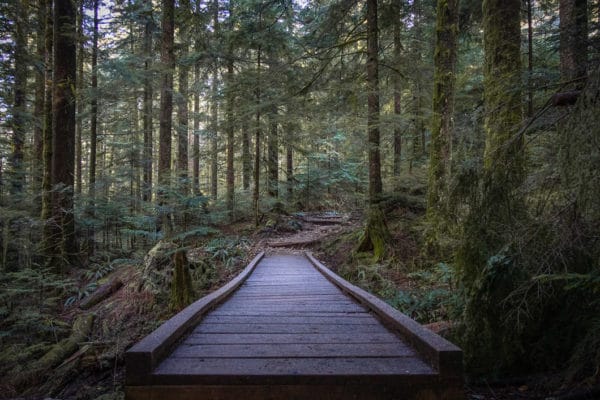 Norvan Falls Hike In North Vancouver | Outdoor Vancouver