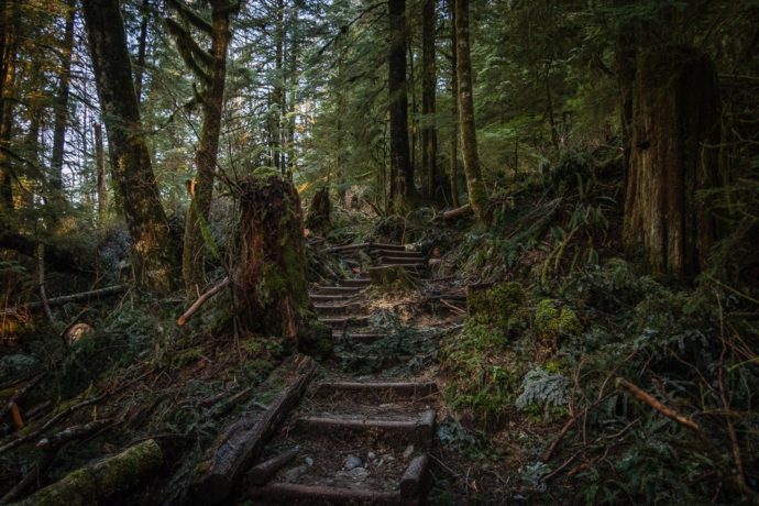 Norvan Falls Hike In North Vancouver | Outdoor Vancouver