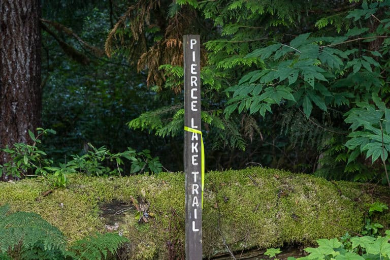 Hiking Mount MacFarlane And Pierce Lake In Chilliwack