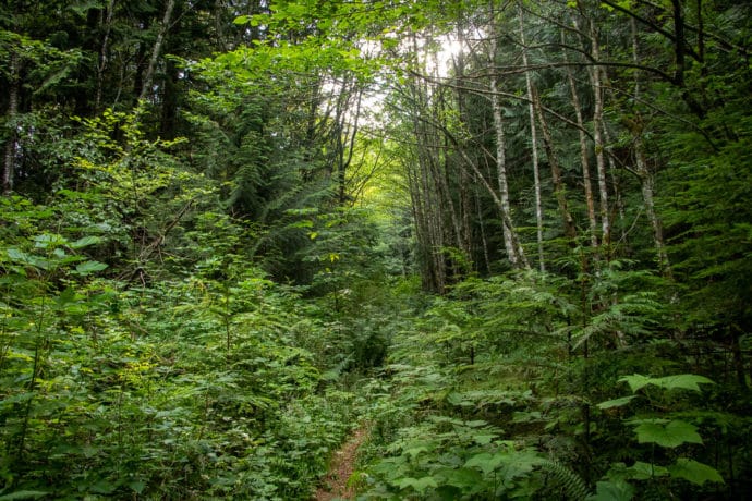 Beth Lake Hike Near Squamish | Outdoor Vancouver