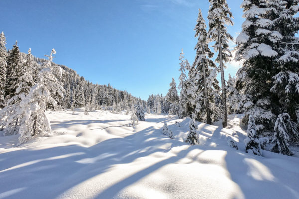 Bowen Lookout Snowshoe At Cypress Provincial Park