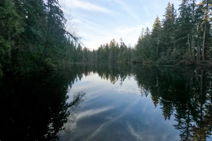 Hiking The Mundy Park Trails In Coquitlam, B.C.